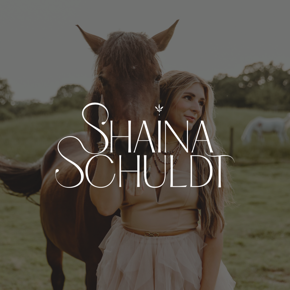 Shaina Schuldt | CLT Realtor | Designer | Stager