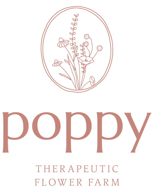 Poppy | a therapeutic flower farm in Loveland, Colorado
