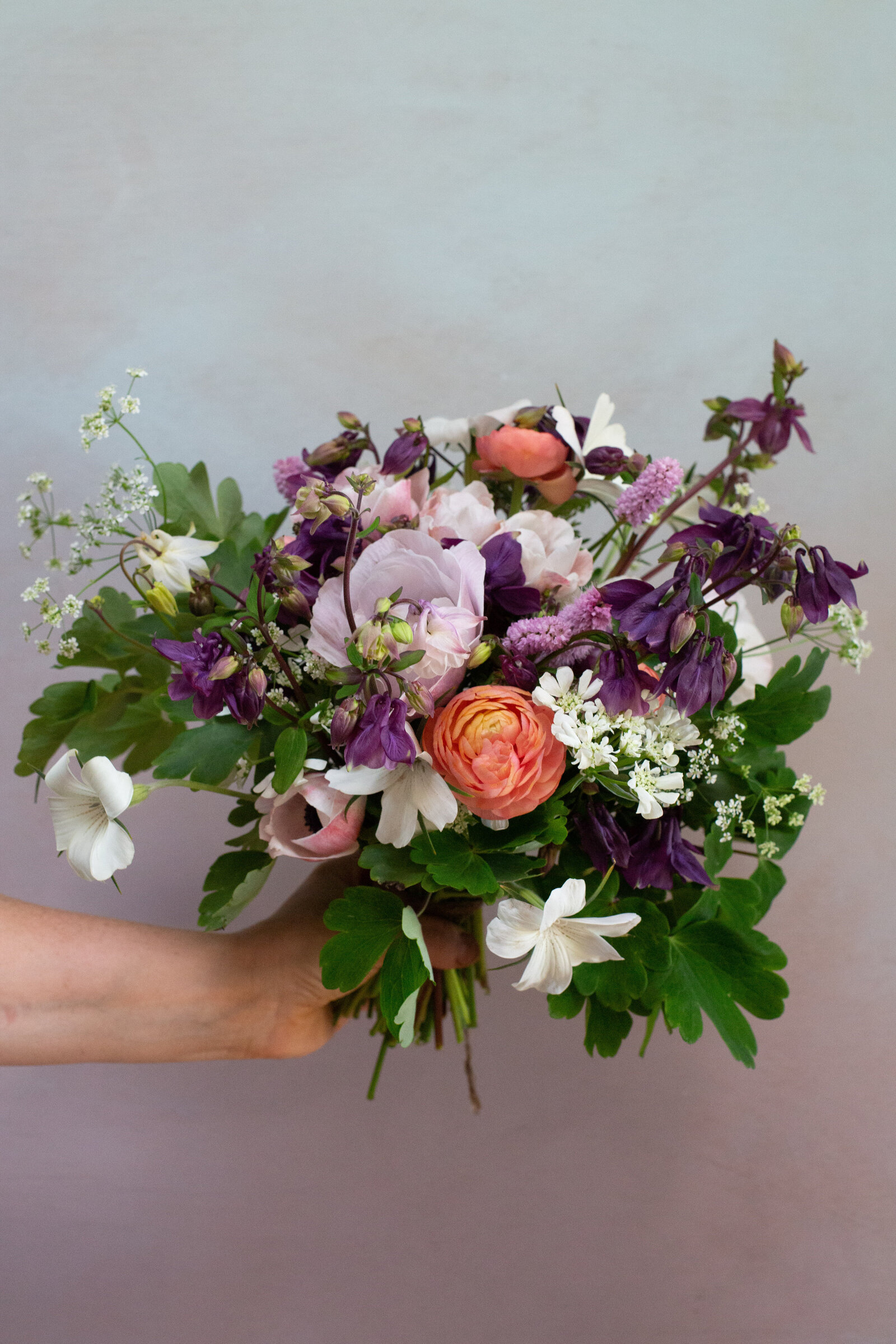 Green Rabbit Flowers | Arrangements