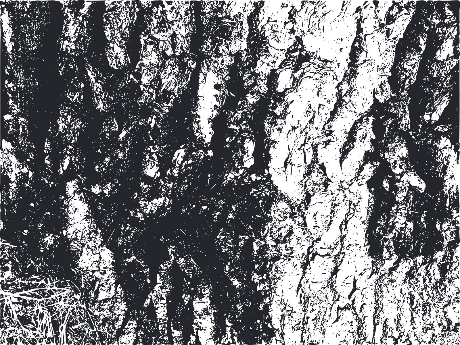 Home [ernstcophoto.com]