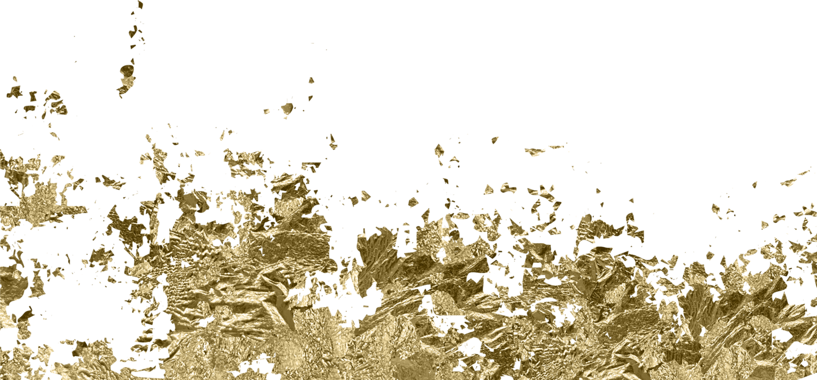 Types of photography