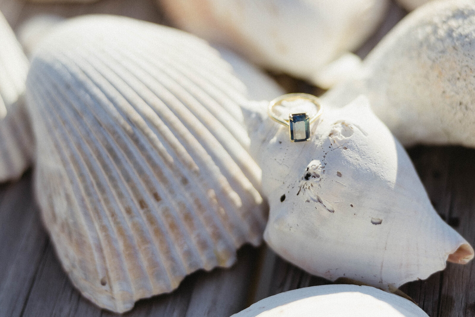 Havgood Photography | Home