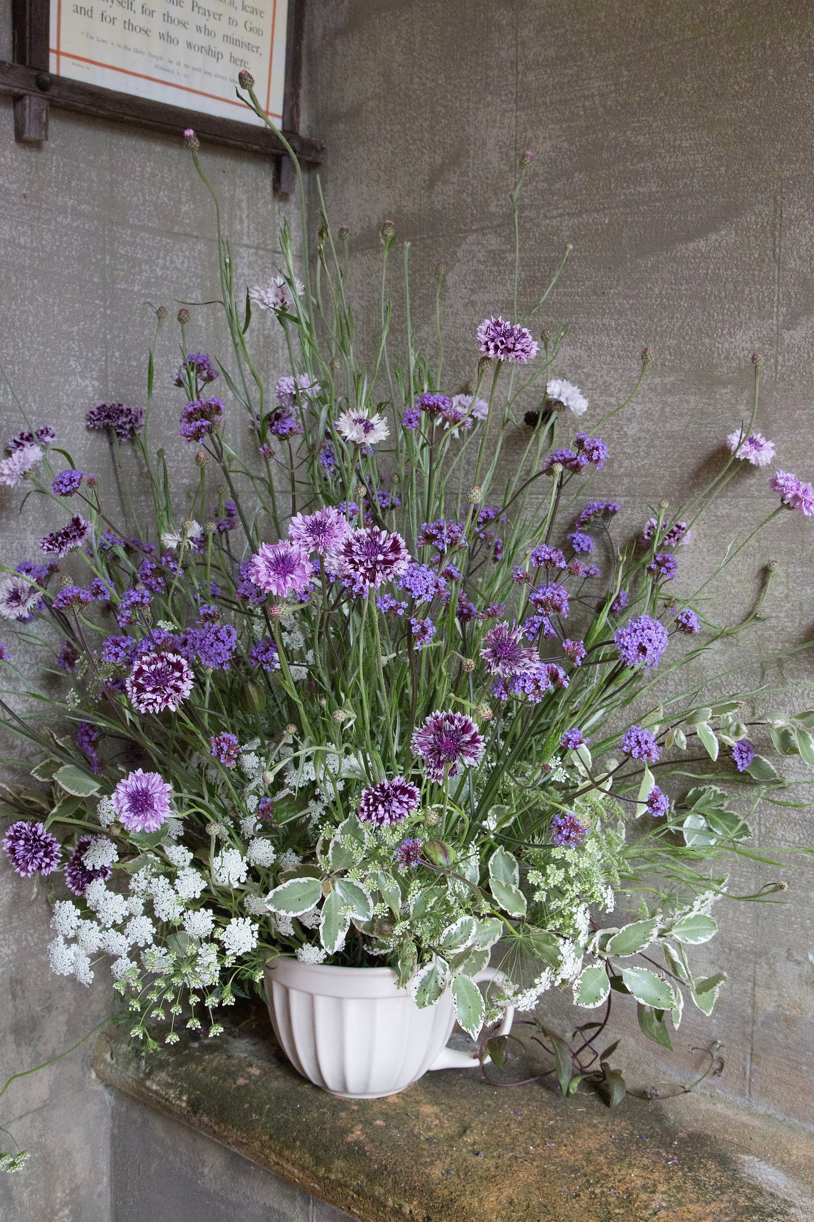 Green Rabbit Flowers | Arrangements