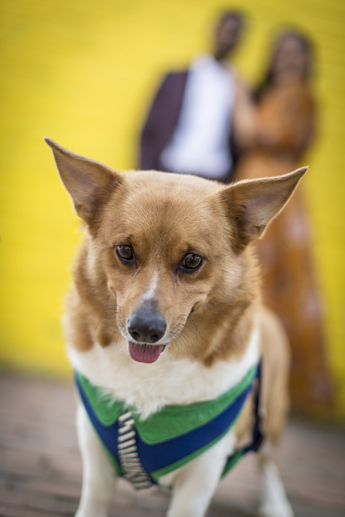 Washington DC Wedding Photographer Andrew Morrell