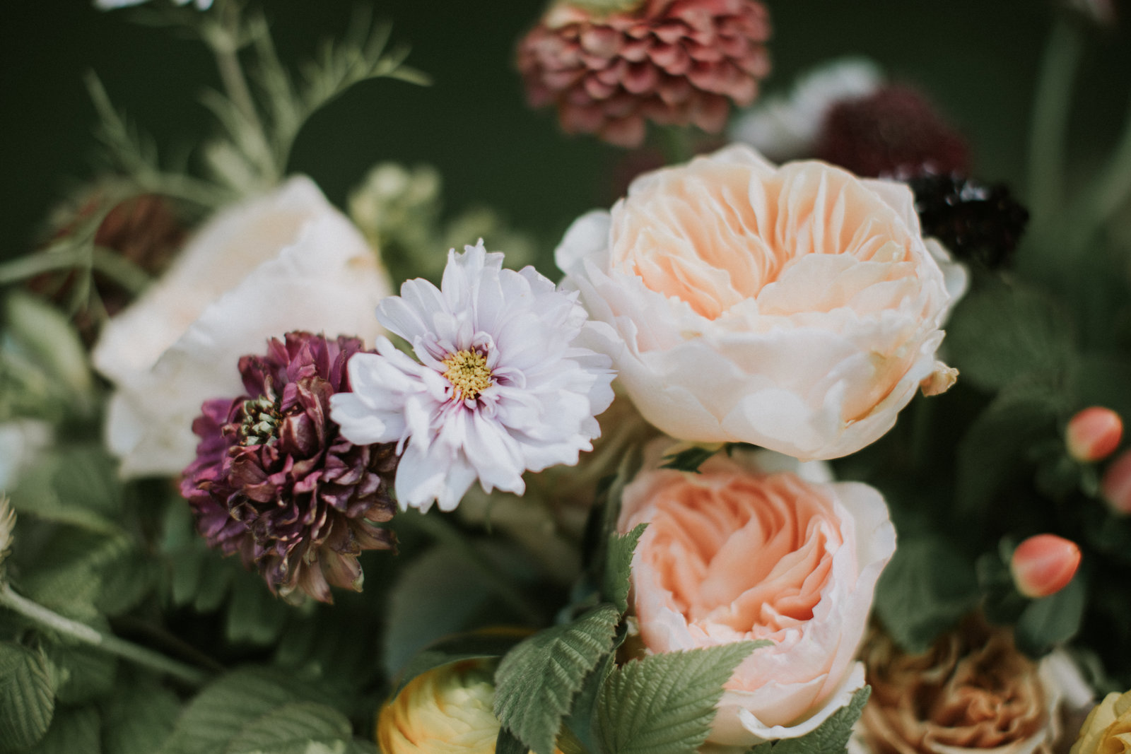 Home [annenoelphotography.com]