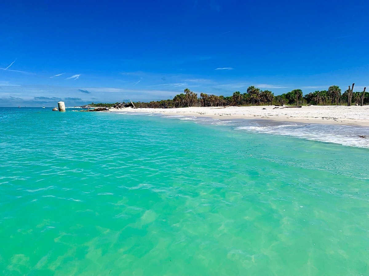 Egmont & Shell Key Pontoon and Dolphin Tours | Levique Tours