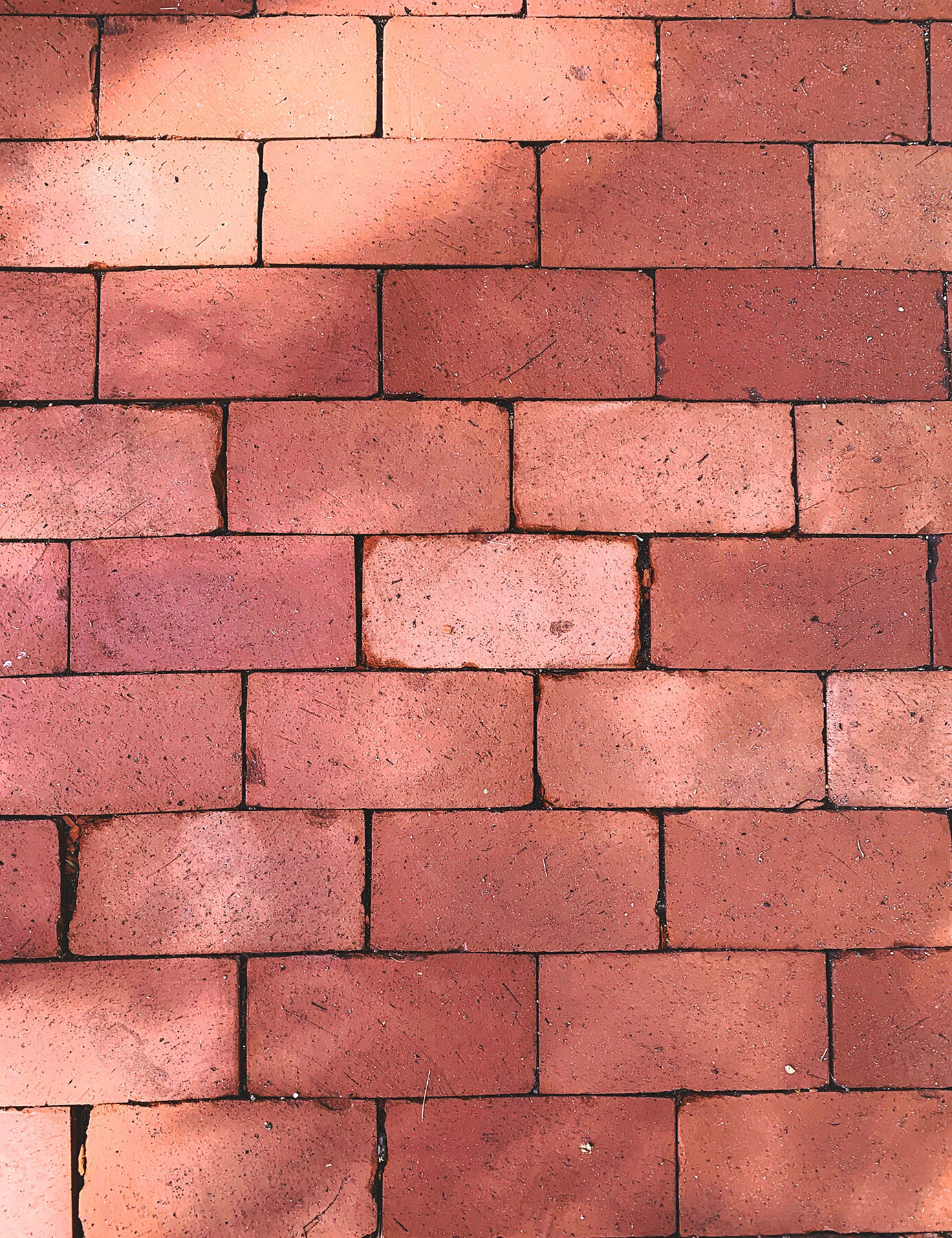 Ultimate Costa Rica Packing List & Essentials Guide 2024