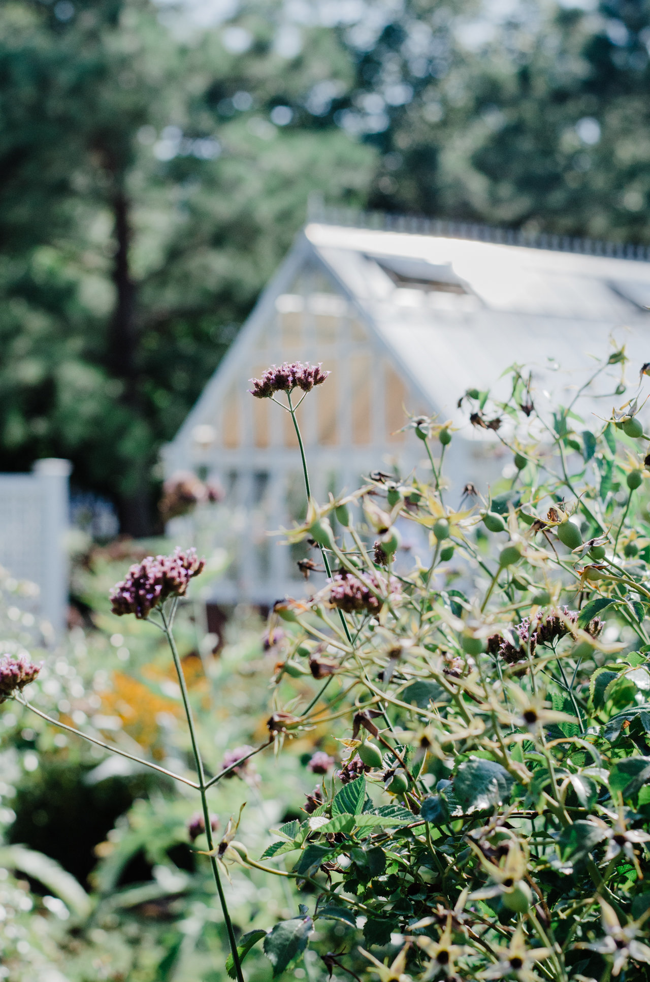 Megan Harris Photography