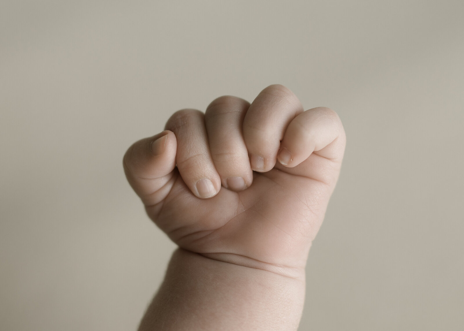 Home [staceyhebertphotography.com]