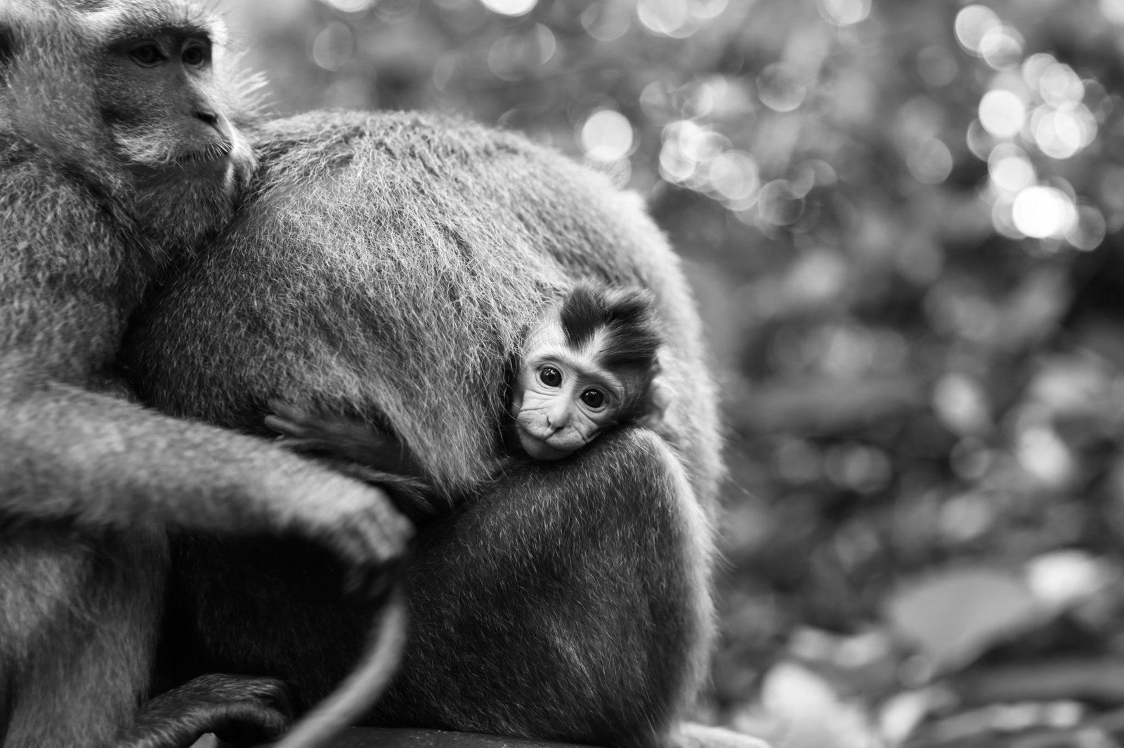 Travel Photography Portfolio | Helena Woods