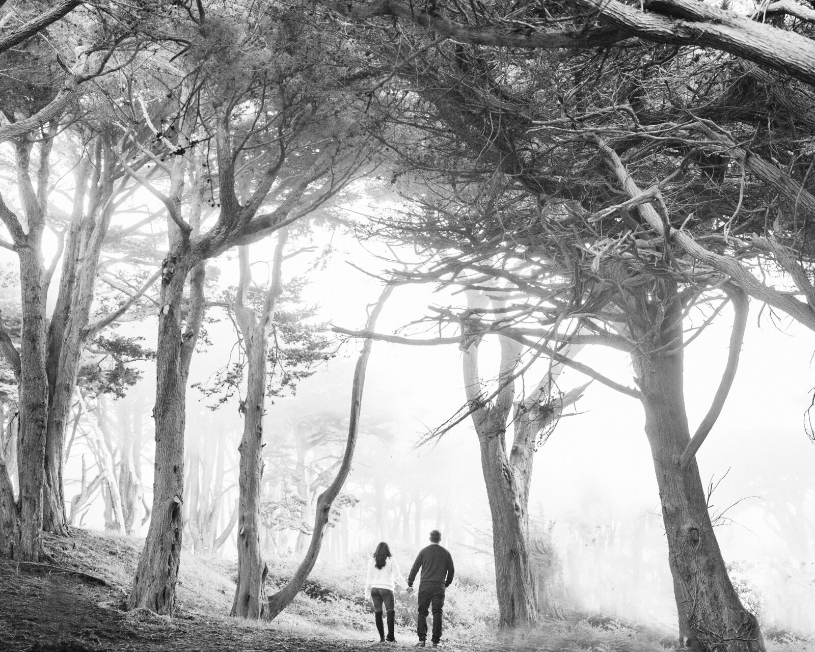 Nate Puhr Photo & Cinema