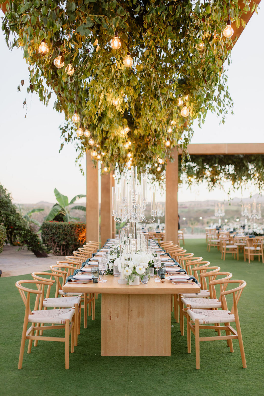 Oceanfront Bliss | Amy Abbott Cabo Wedding