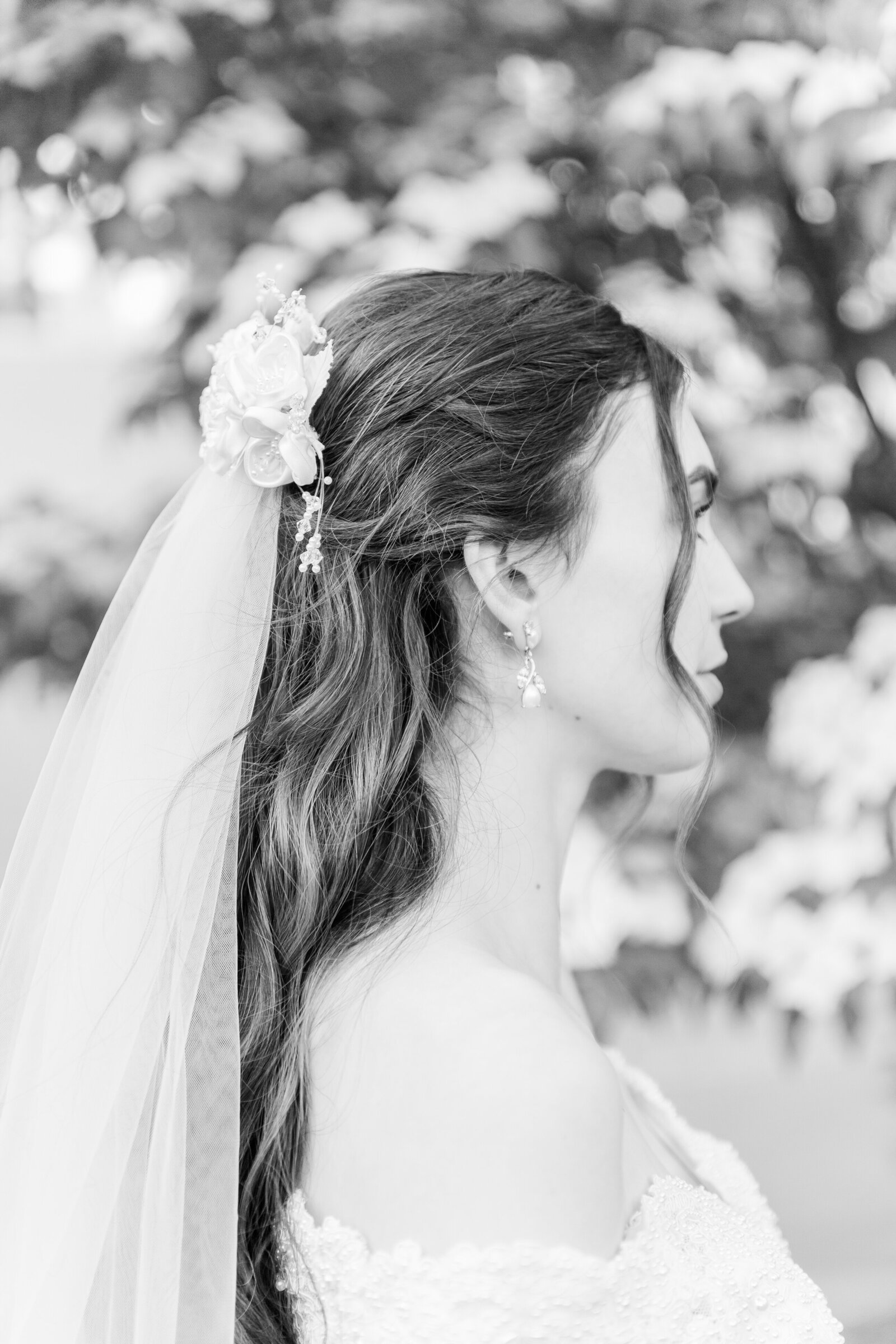 NV Photography LLC: West Virginia Photographer