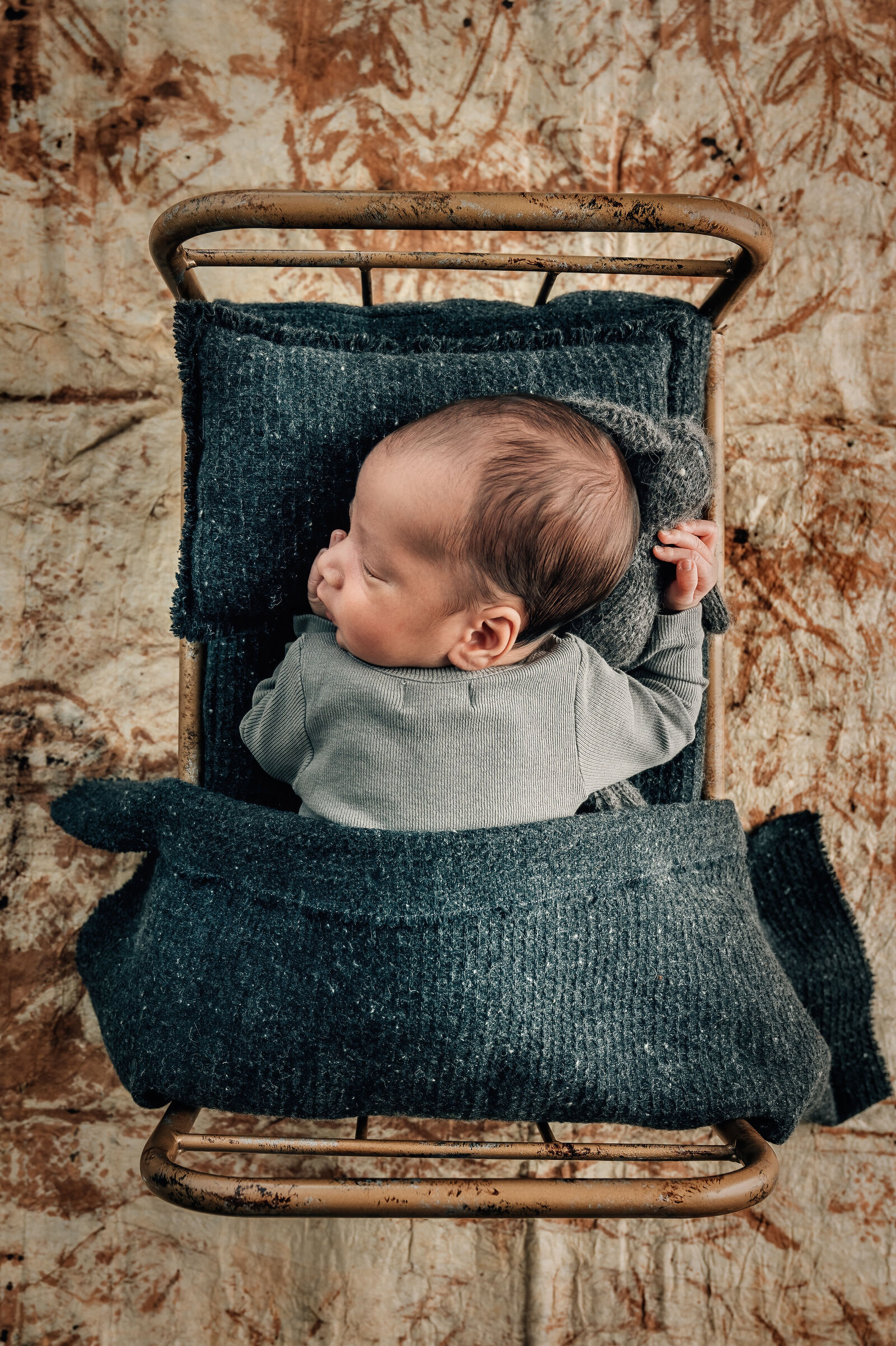 Life Lab Photography | Te Awamutu Photographer