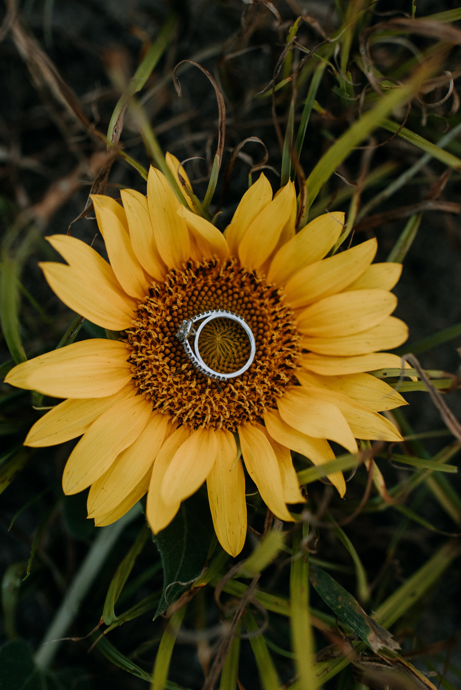 Gallery | Callie Rainey photography