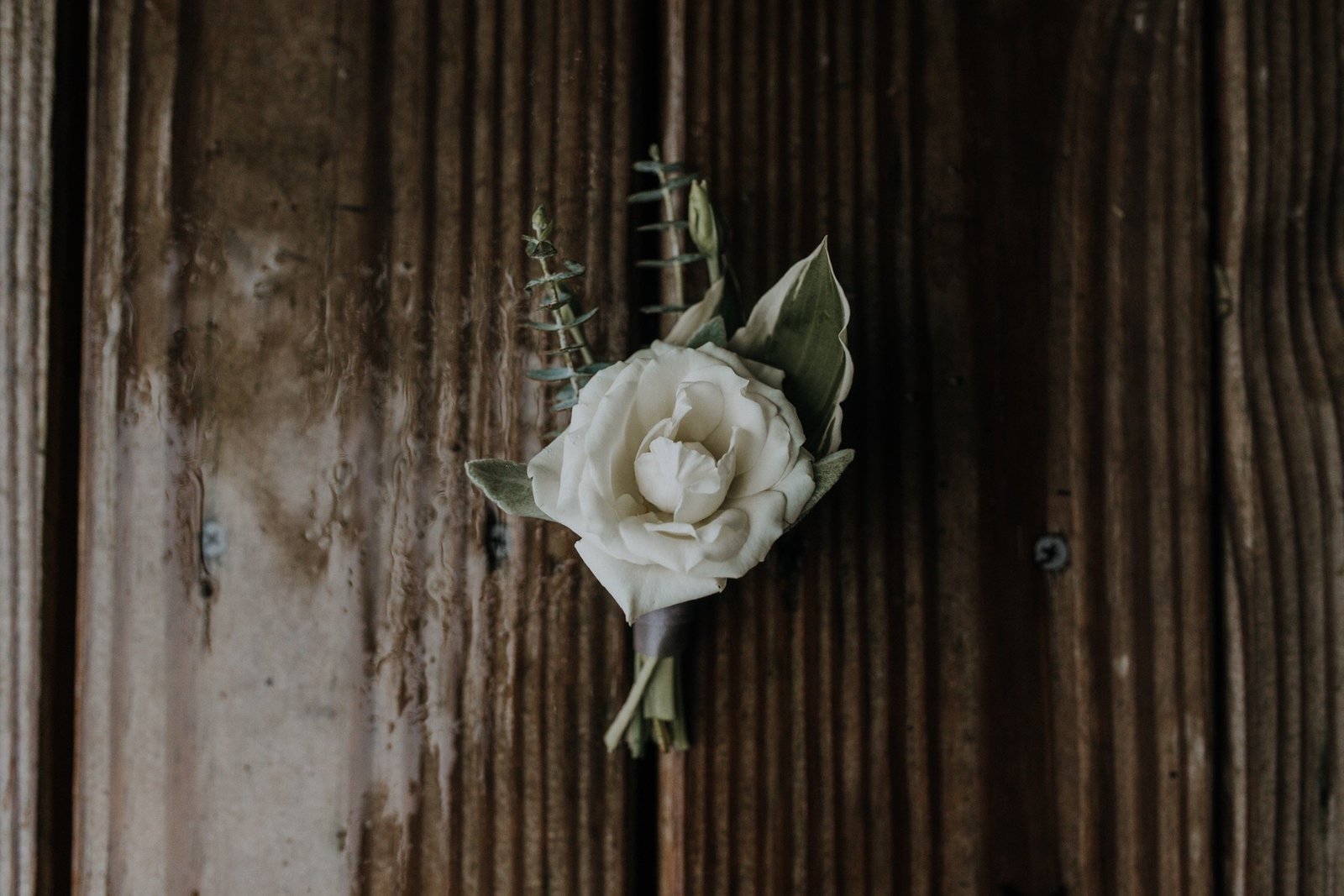 Gallery | Emily Rose Florist