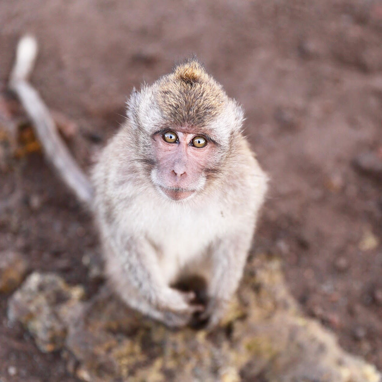 Travel Photography Portfolio | Helena Woods