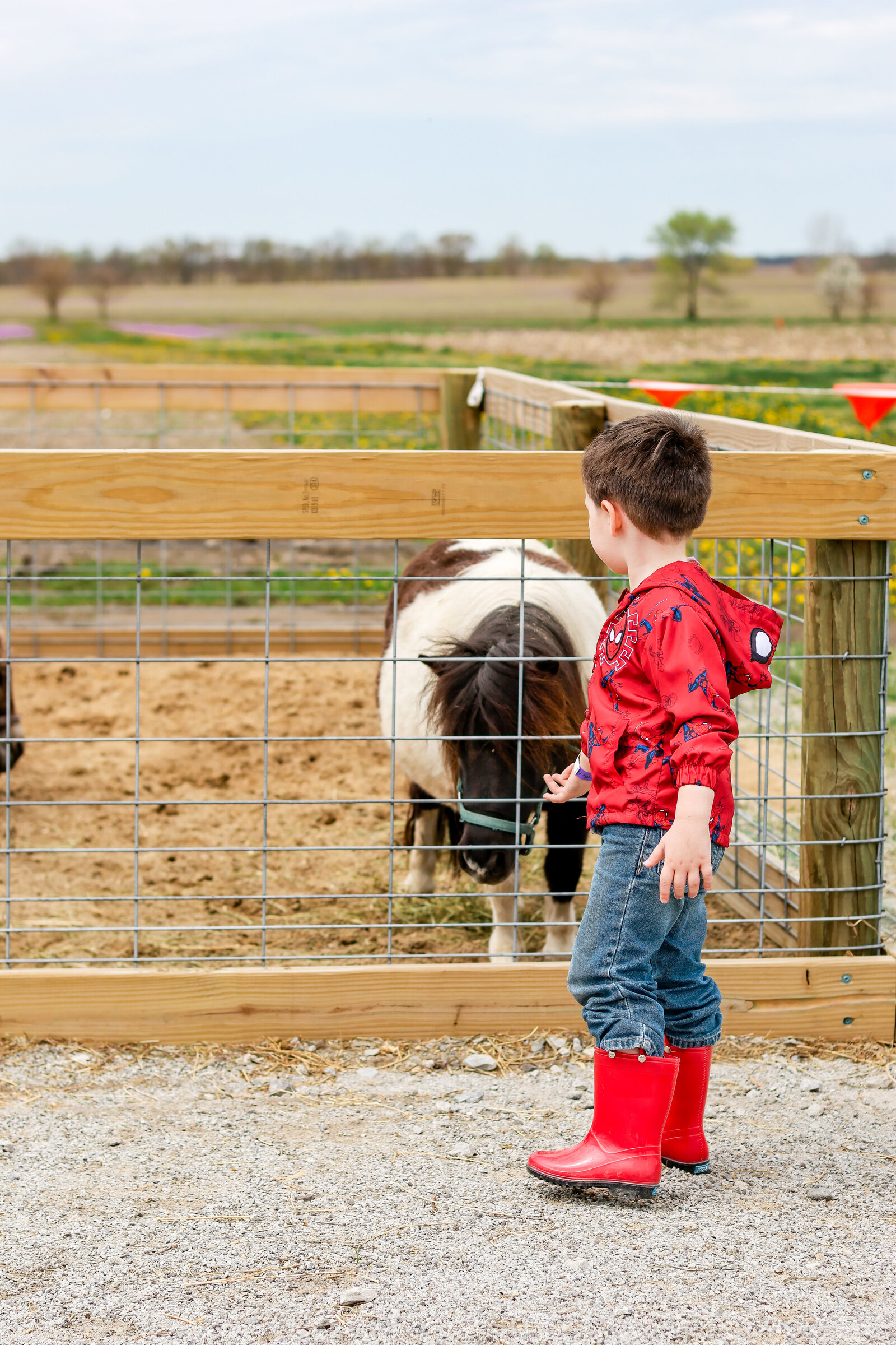 Harvest Tyme Family Farm | Lowell, Indiana
