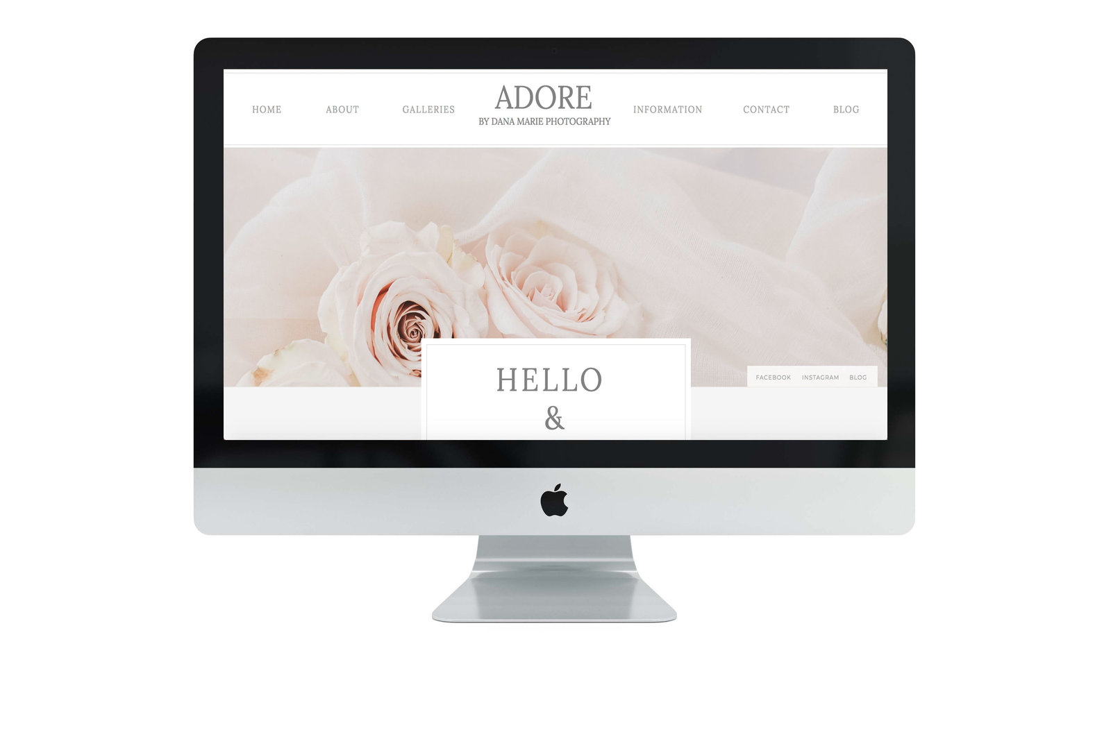 Branding & Showit Website Design Services for Wedding Pros ...