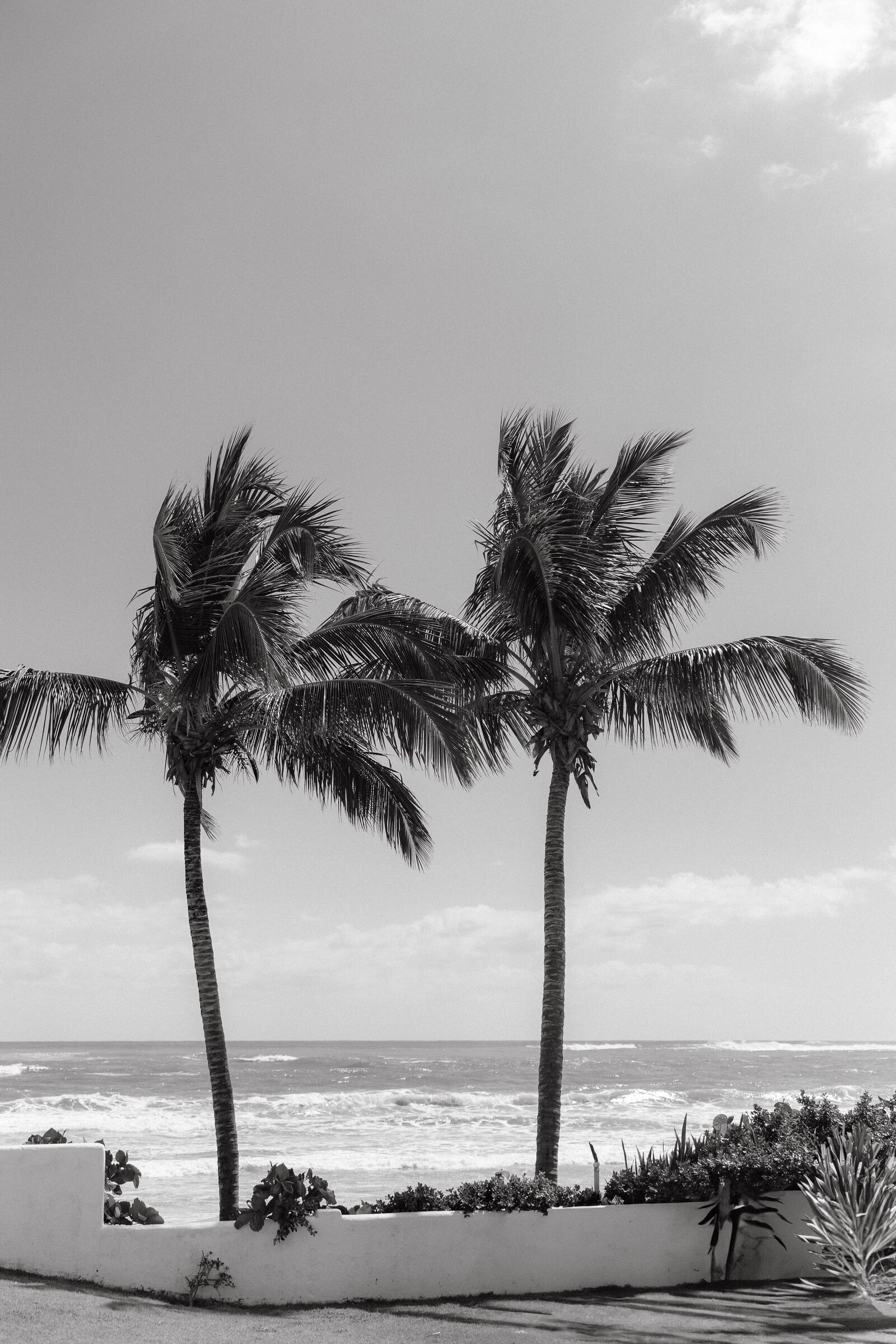 Travel and Wedding Photographer - Clay Taylor Photo