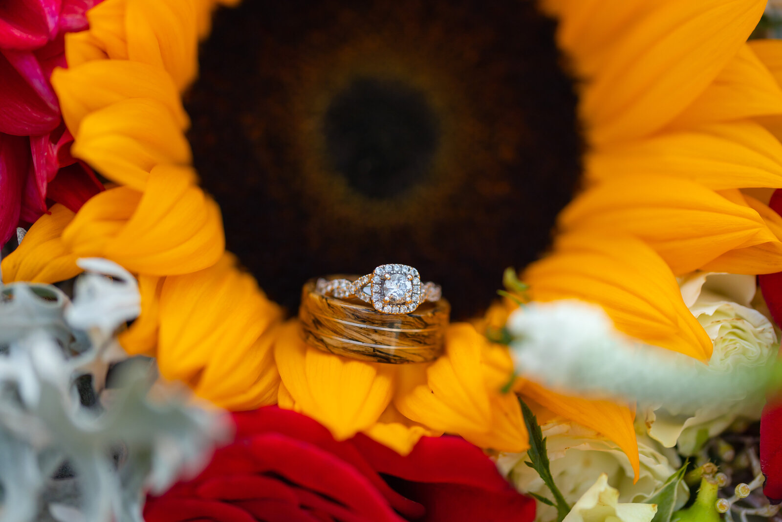 Maira Ochoa Photography | Chicago Wedding and Portrait Photographer