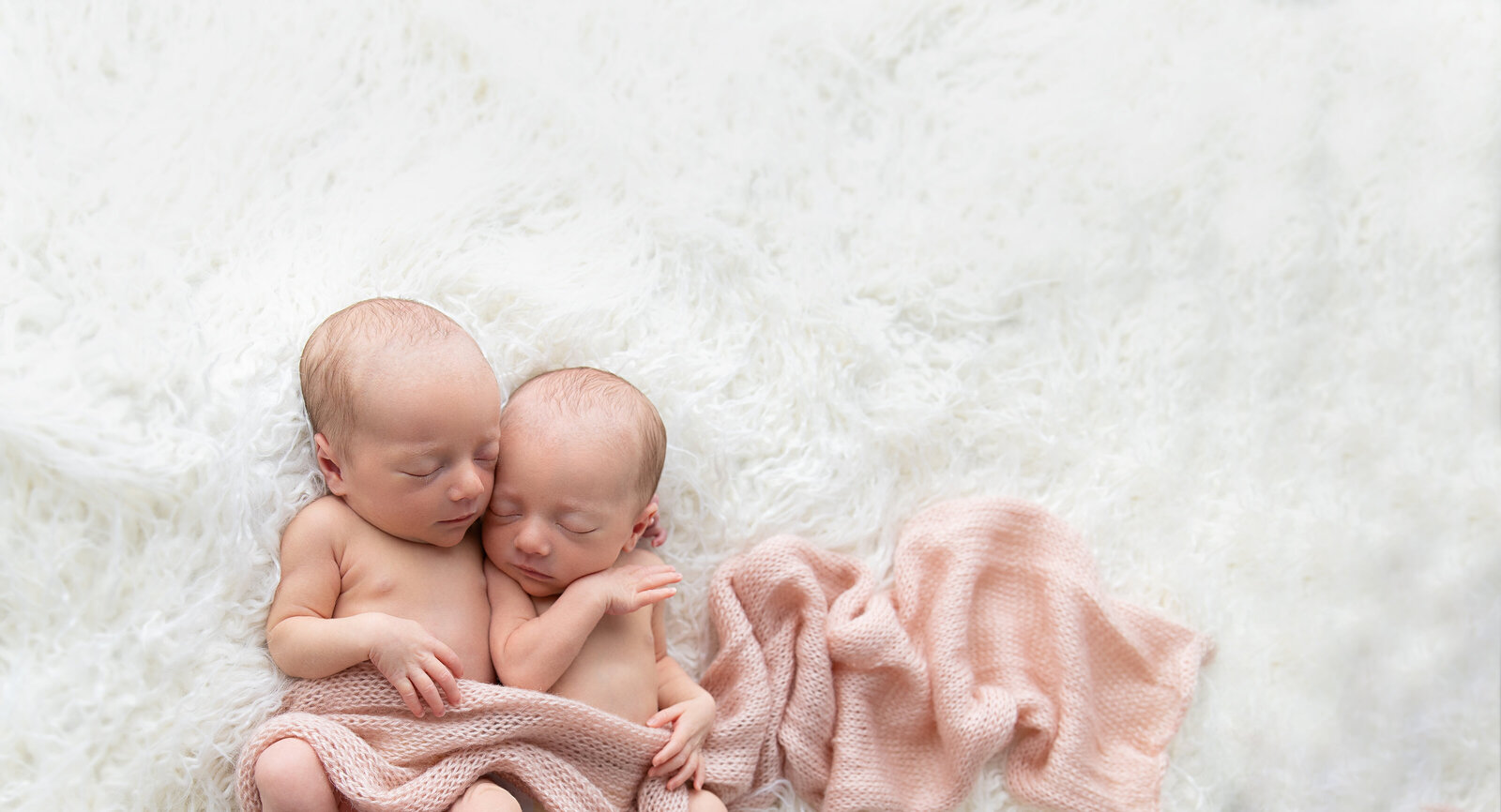 Newport News Studio Newborn Photography || The Baby Photog