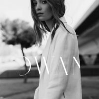 Seed Creative | Brand and Web Design Studio for Creatives