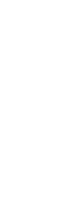 North Georgia Wedding & Elopement Photographer | Colleen Elise Photography