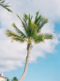 Home [emilycone.com]