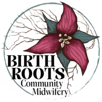 Chicagoland Midwives, Home Birth, Reproductive Wellness