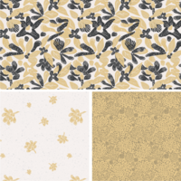 Kerry Warnholtz | Pattern Collections