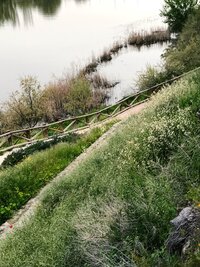 Beginners Landscape 101 - 40 Useful Garden Design Tips | PITH + VIGOR ...