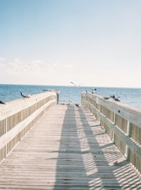 Home [emilycone.com]