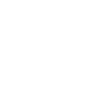 Spiritual Web Design Studio | Venus & Nectar