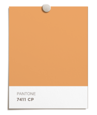 Muted Electric Hues & Bold Patterns