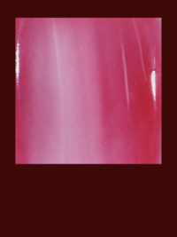 Elevate Beauty │ Beauty for the Outspoken