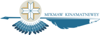 Welcome | Dadavan: Indigenous data management