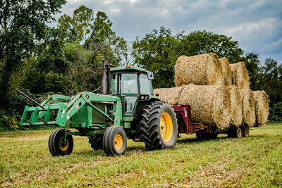 Country Living & Farm Life Blog | ThisFarmWife.com