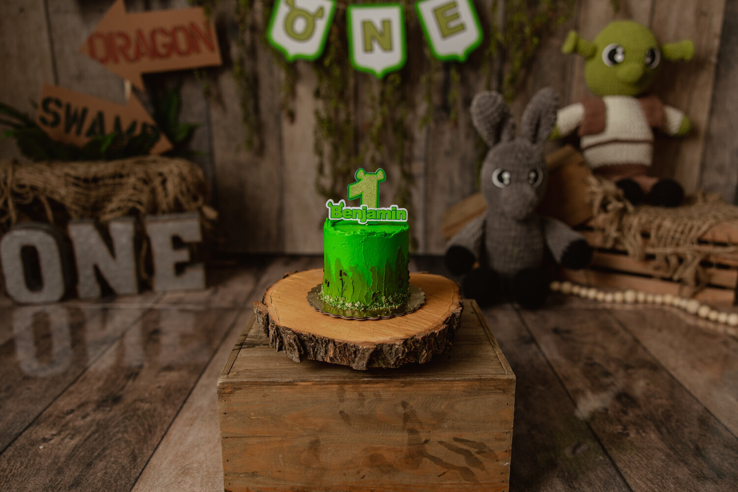 Cedarburg, WI Cake Smash Photographer | Tara Fay Photography