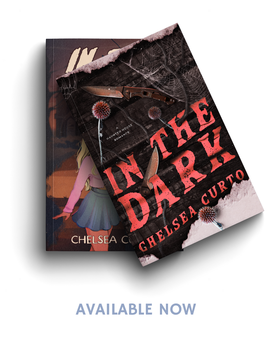 Books | Author Chelsea Curto