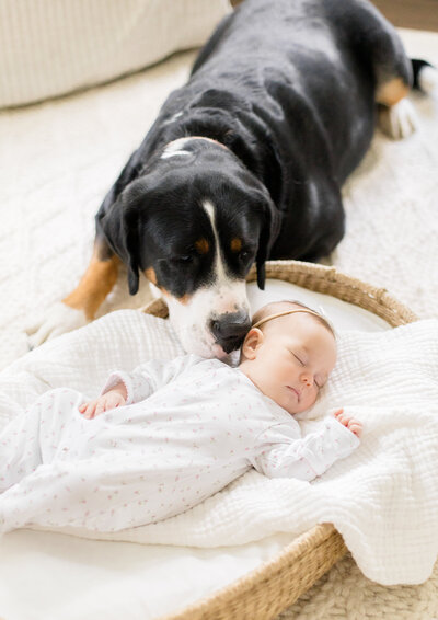 long island newborn photographer | Chelsea Knese Photography