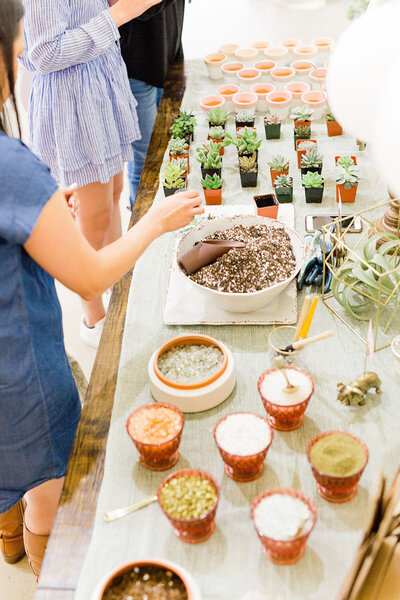 Succulent Bar Services