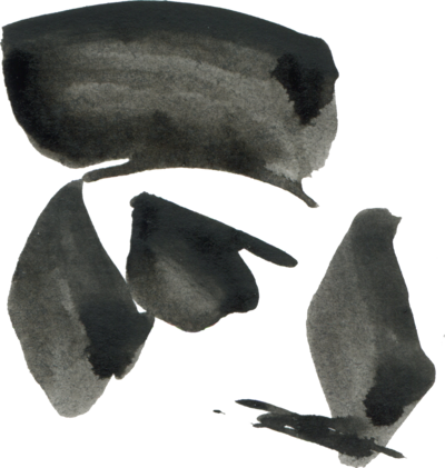 Westfield, IN Family Photography | Nightingale and Willow