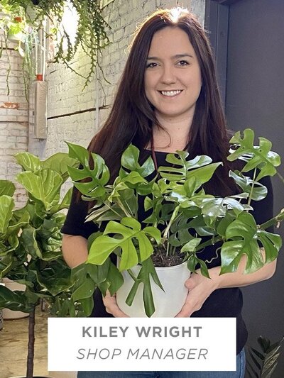 Savannah Travel Guide | Cobblestone and Moss | Savannah GA