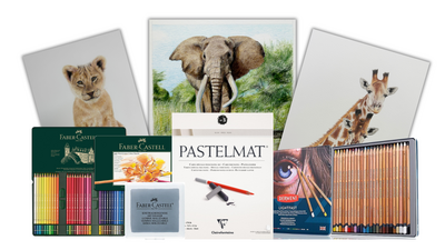 Coloured Pencil Week 2026 | African Wildlife Art Event by Bonny Snowdon