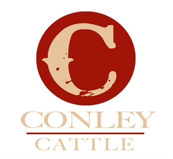 Home [anguslive.com]