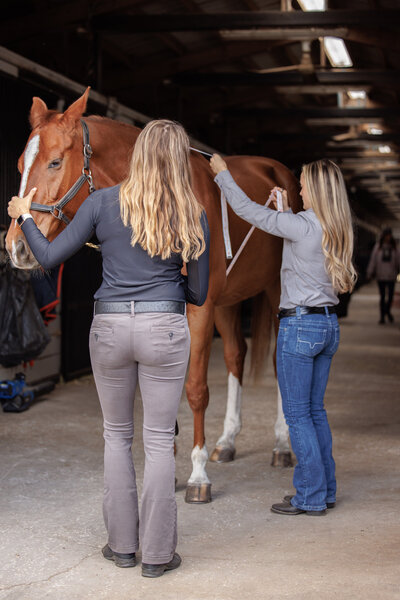 BCS 5.0 Consulting - Ohio Based Equine Nutrition Specialist