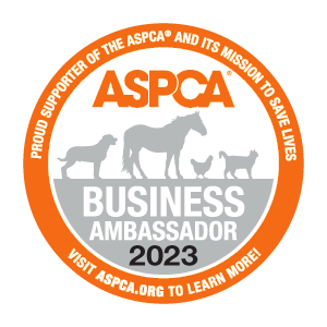 Bride Training I Stephanie Thomas Fitness