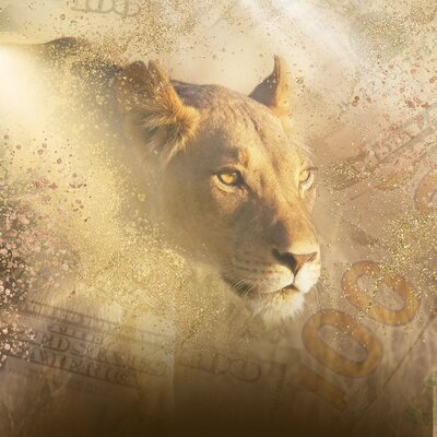 Momentum to Millions with Julie Steelman