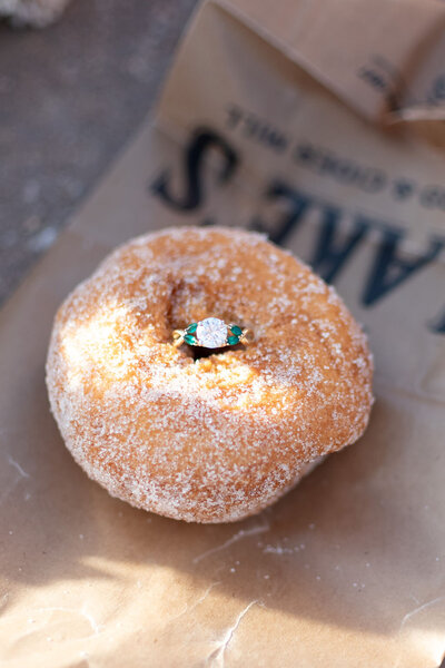 Port Huron Wedding Photographer | Catie Eovaldi Photography